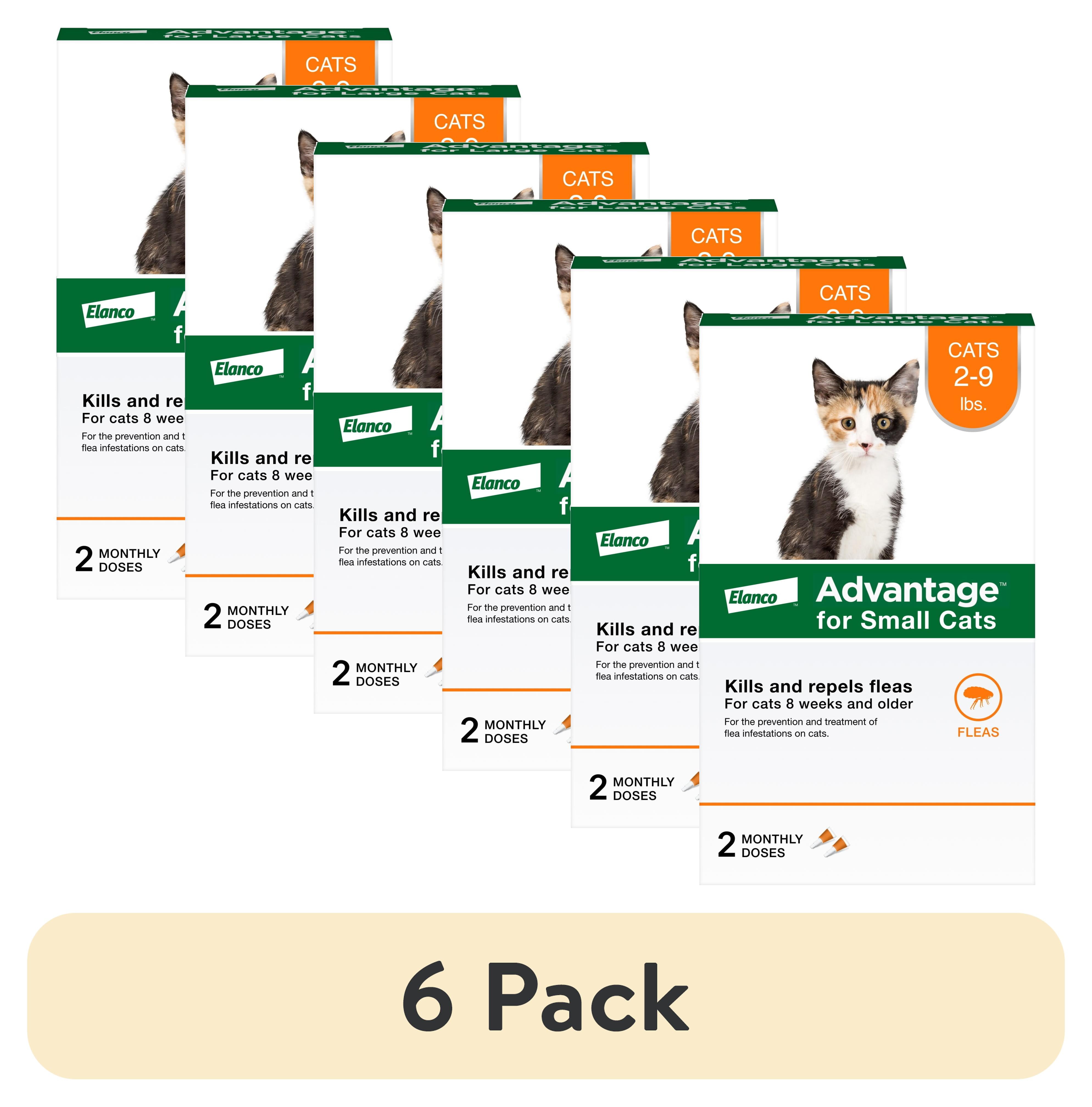 (6 pack) Advantage Topical Flea Treatment & Prevention For Small Cats 2 ...