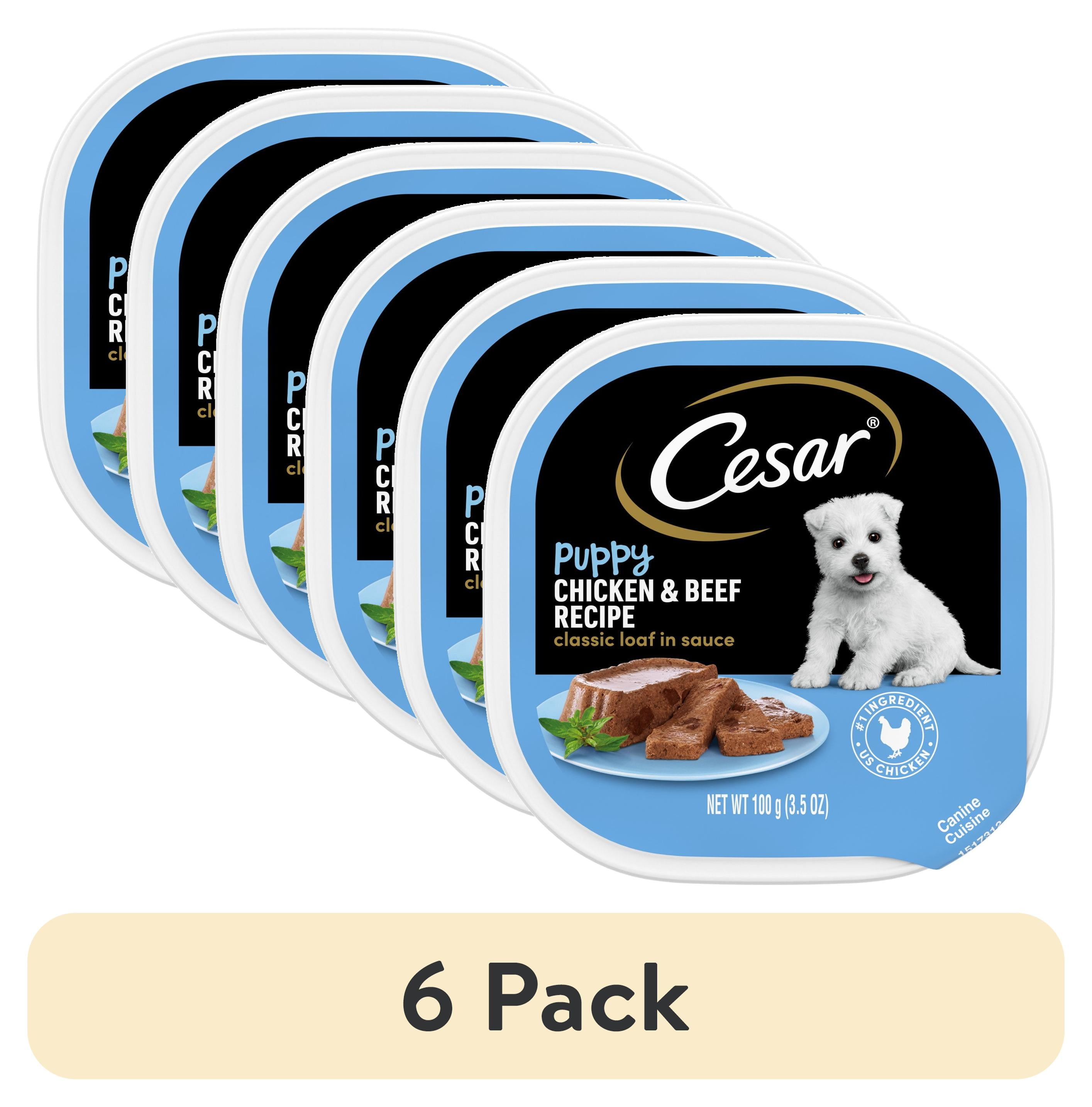 (6 pack) Cesar Classic Loaf In Sauce Chicken And Beef Recipe Wet Dog Food For Puppies, 3.5 Oz ...
