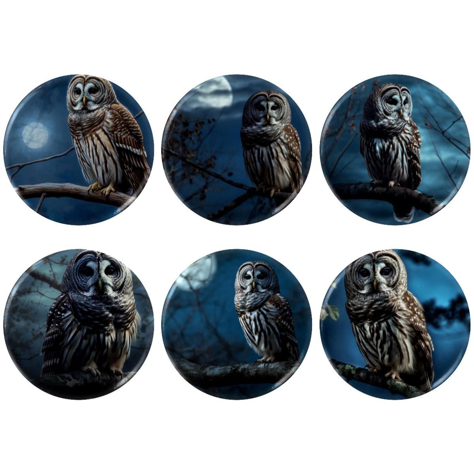 6 pcs Barred Owl Sits Motionless in the Blue Moonlight Custom Pins ...