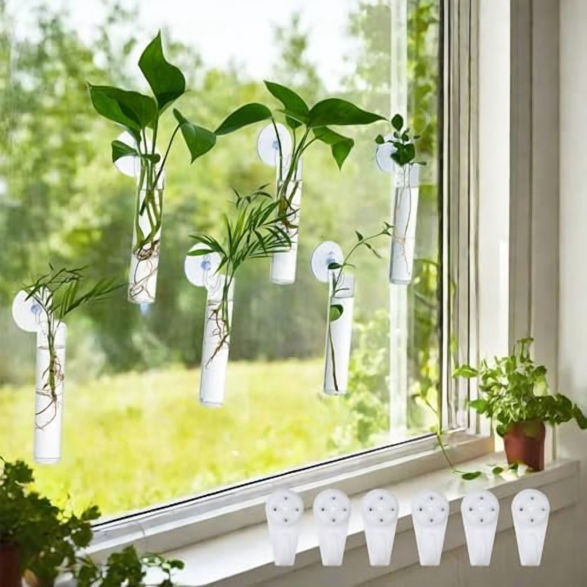 6 pcs Window Propagation Stations, Plant Propagation Tubes with suckion ...