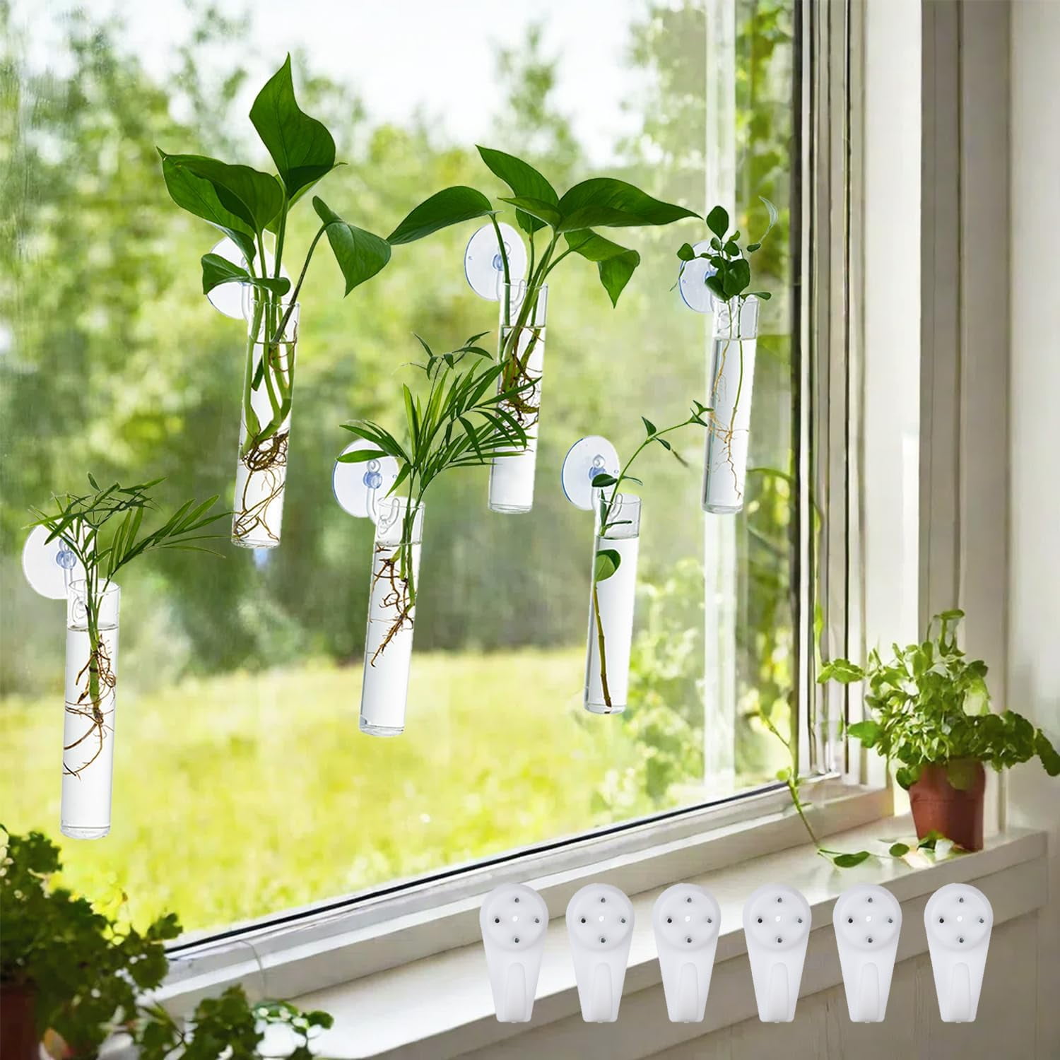 6 pcs Window Propagation Stations, Plant Propagation Tubes with suckion ...