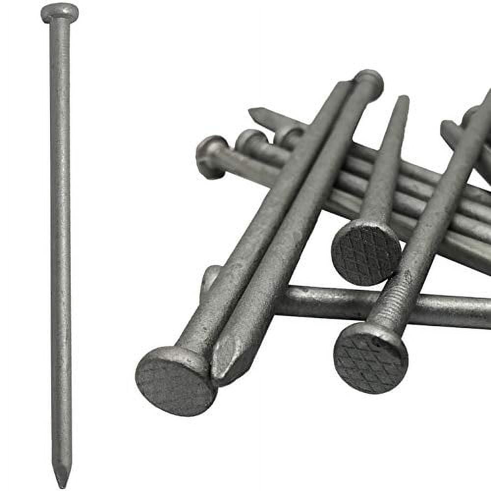 6" x 3/8" Galvanized steel landscaping staples and nails for securing ...
