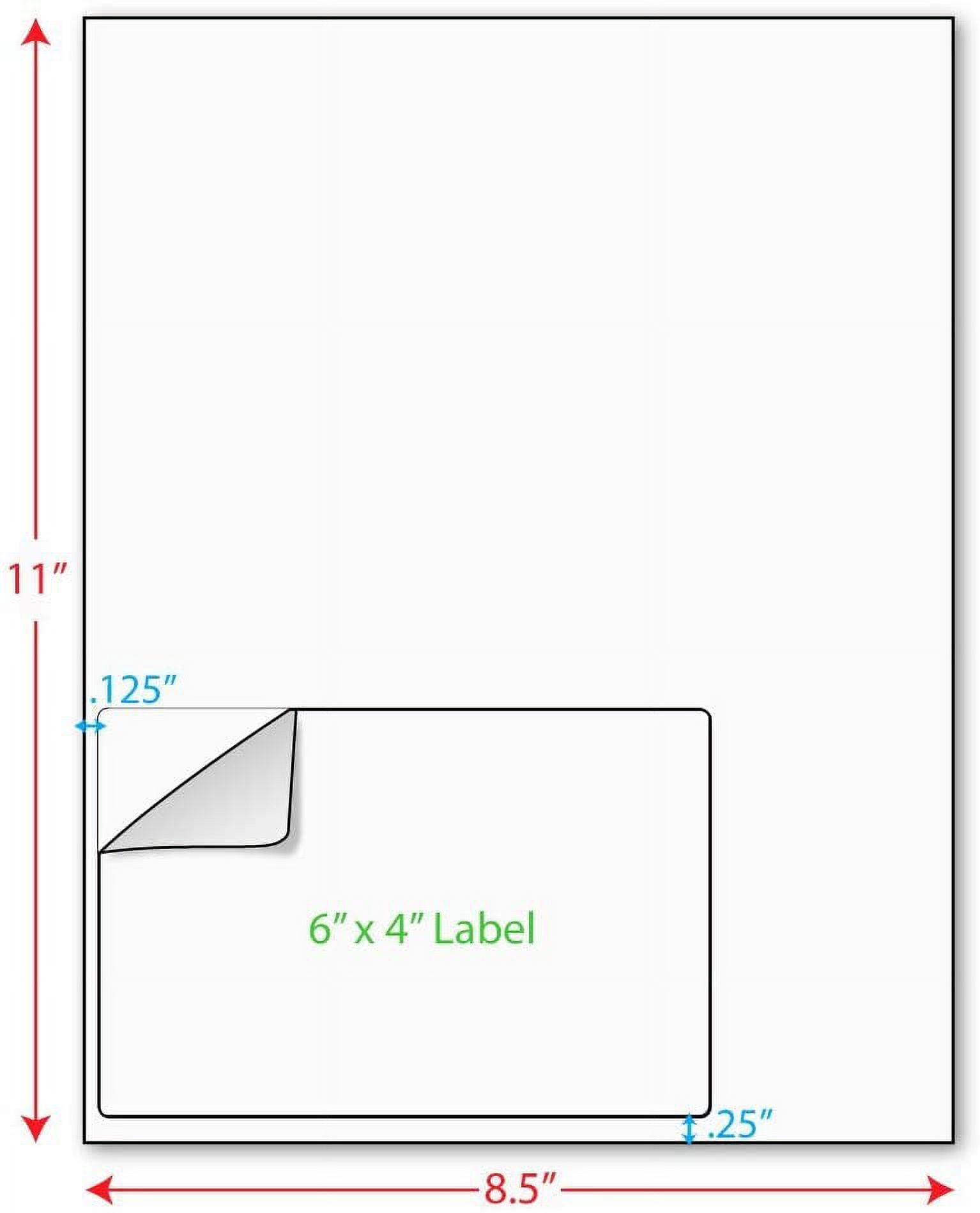 6" x 4" Integrated Laser Label Form Sheets, 1 Label Carton of 1000 ...