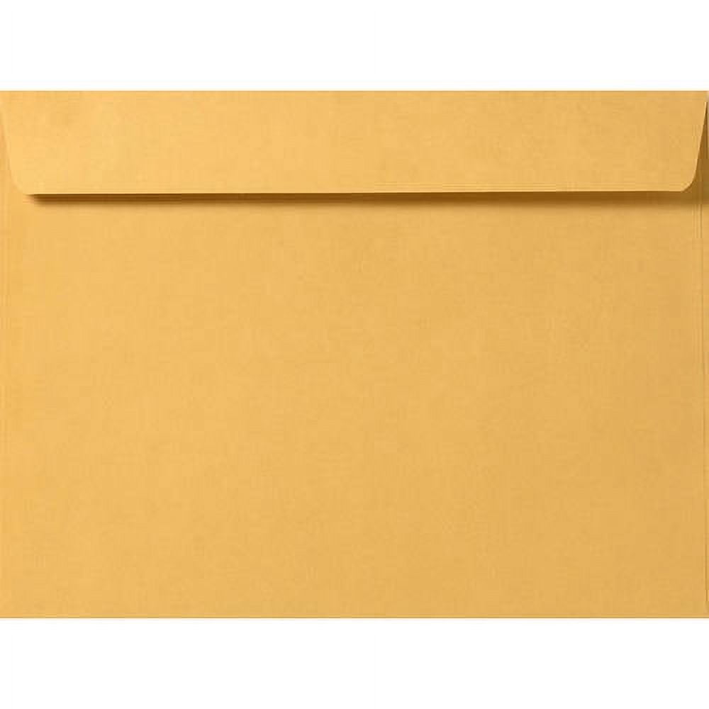 6 x 9 Booklet Envelopes - 28lb. Brown Kraft (1000 Qty) - Walmart.com