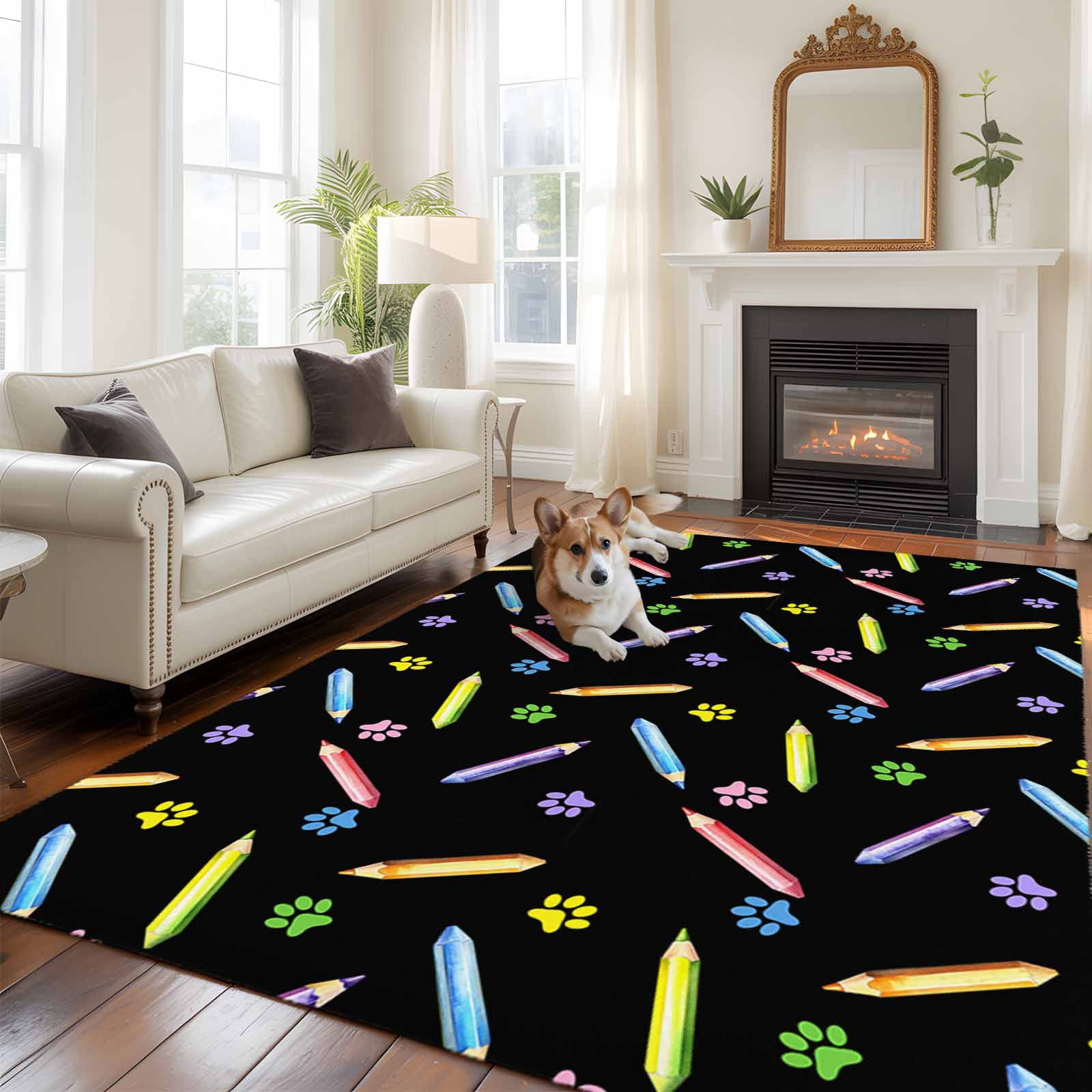 6'x9' Area Rugs, Cartoon Indoor Outdoor Area Rug for Living Room ...