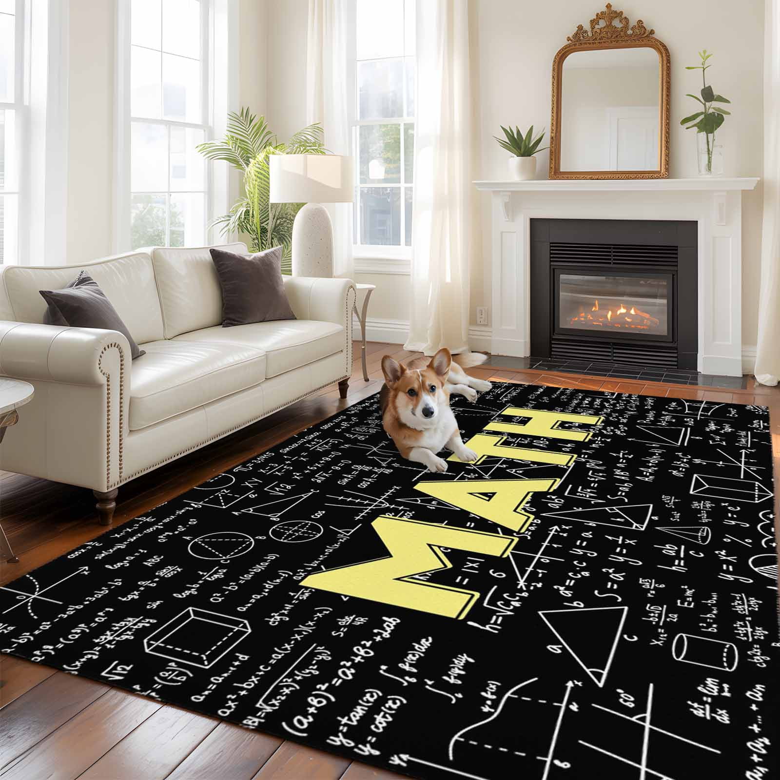 6'x9' Area Rugs, Mathematics Formulas Indoor Outdoor Area Rug for ...