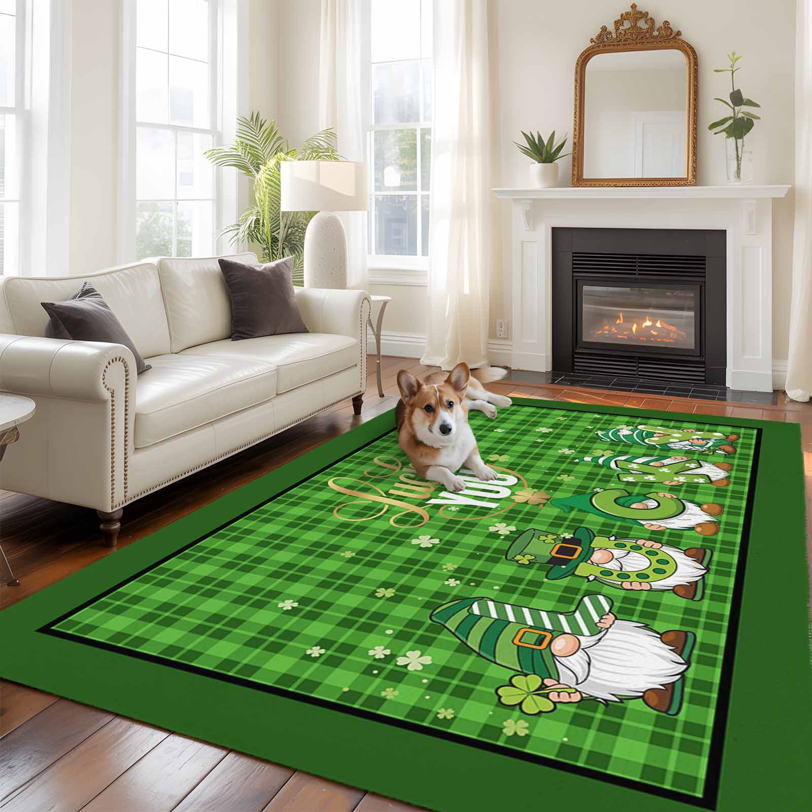 6'x9' Area Rugs, St. Patrick's Day Indoor Outdoor Area Rug for Living ...