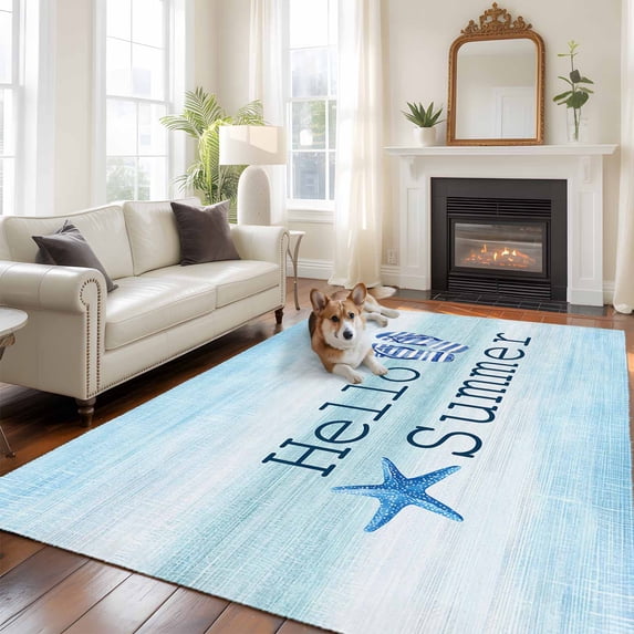 6'x9' Area Rugs, Summer Flip Flops Indoor Outdoor Area Rug for Living ...