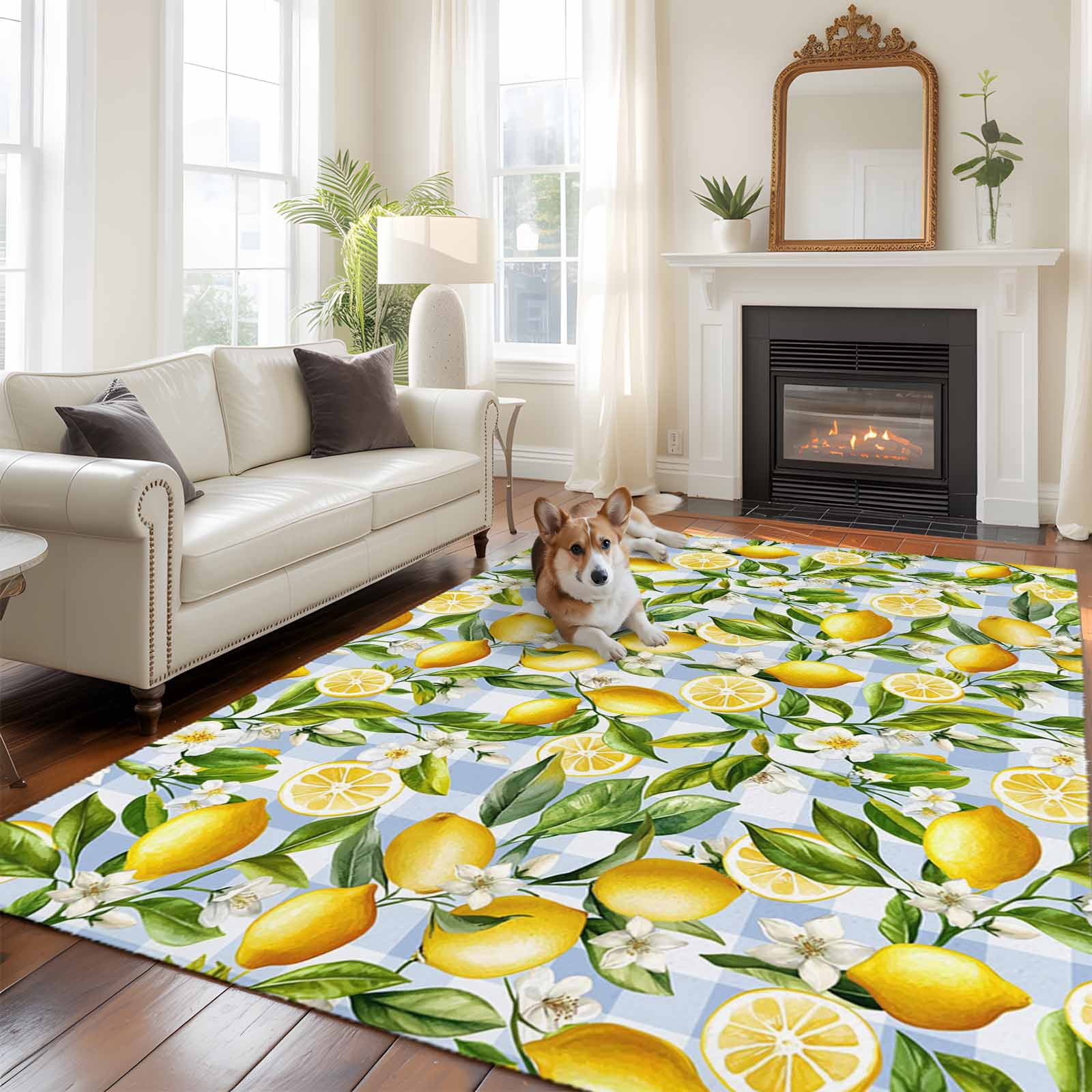6'x9' Area Rugs, Summer Lemon Indoor Outdoor Area Rug for Living Room ...