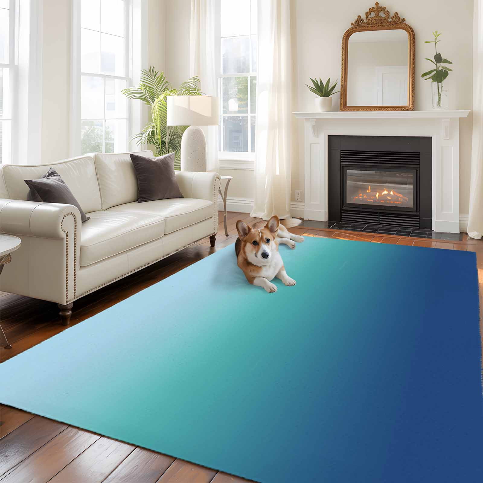 6'x9' Area Rugs, Teal Blue Ombre Indoor Outdoor Area Rug for Living ...
