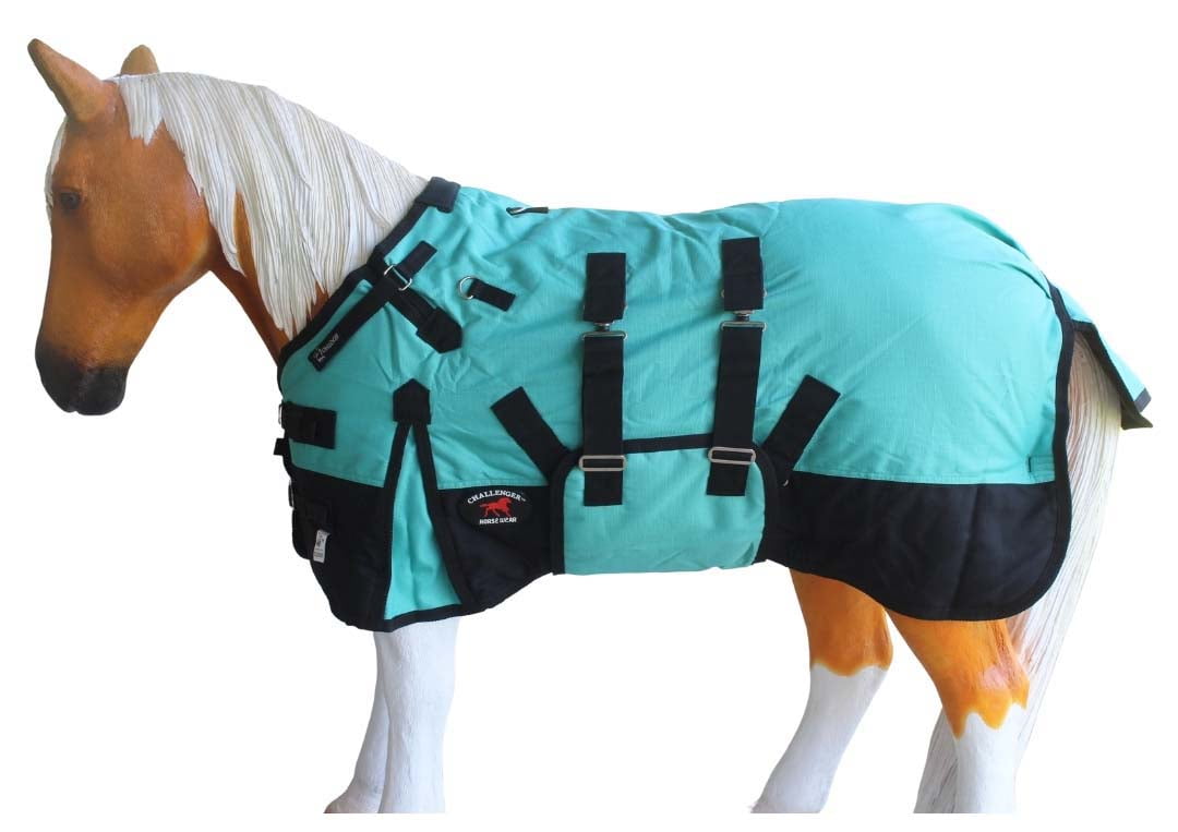 Challenger 1200D Miniature Weanling Donkey Foal Pony Horse Winter ...