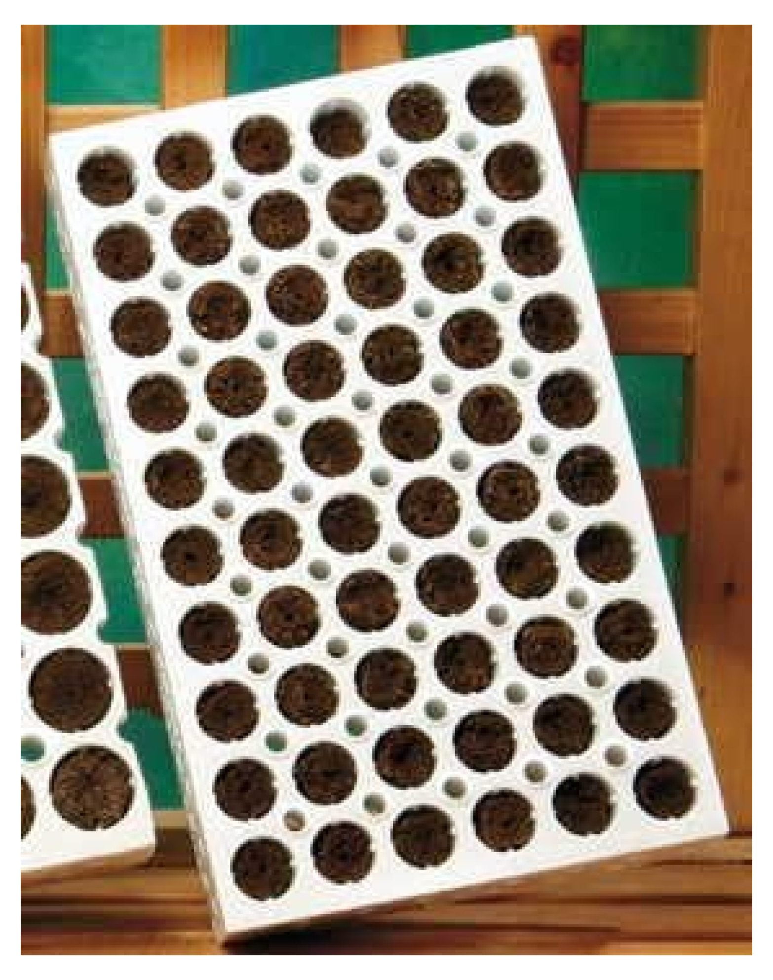 60 Cell Dome Planting Block with Sponges - Walmart.com