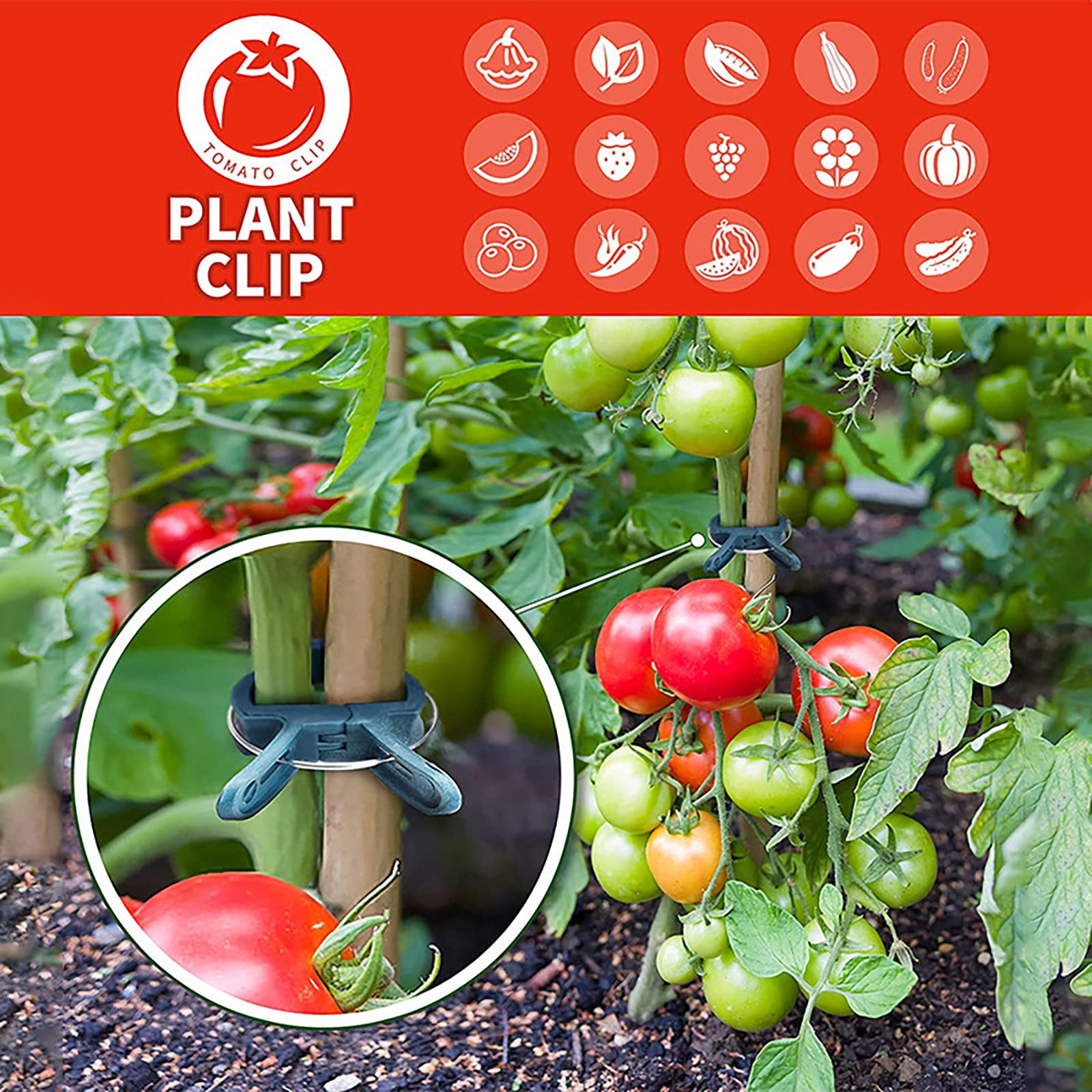 60 PCS Reusable Plant Clips for Supporting Stems - Adjustable Sizes ...