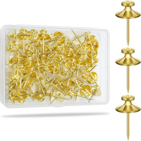 Wall Pins Hanging