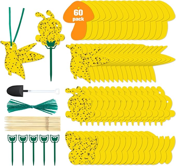 60 Pack Yellow Sticky Traps Fungus Gnat Sticky Traps, Gnat Traps for ...