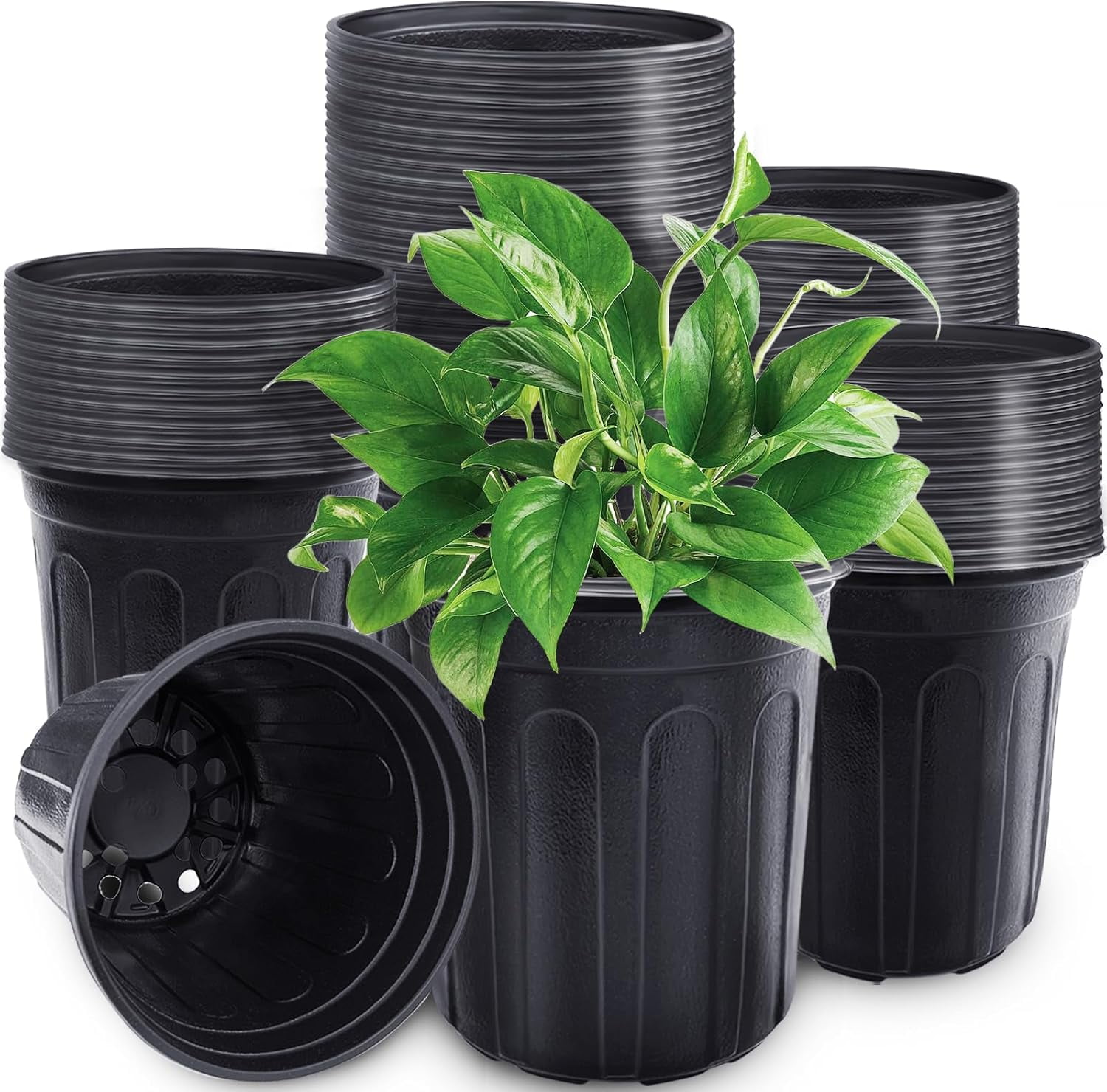 60 Pcs 1 Gallon Plant Nursery Pots,Plastic Seed Starter Pot with ...