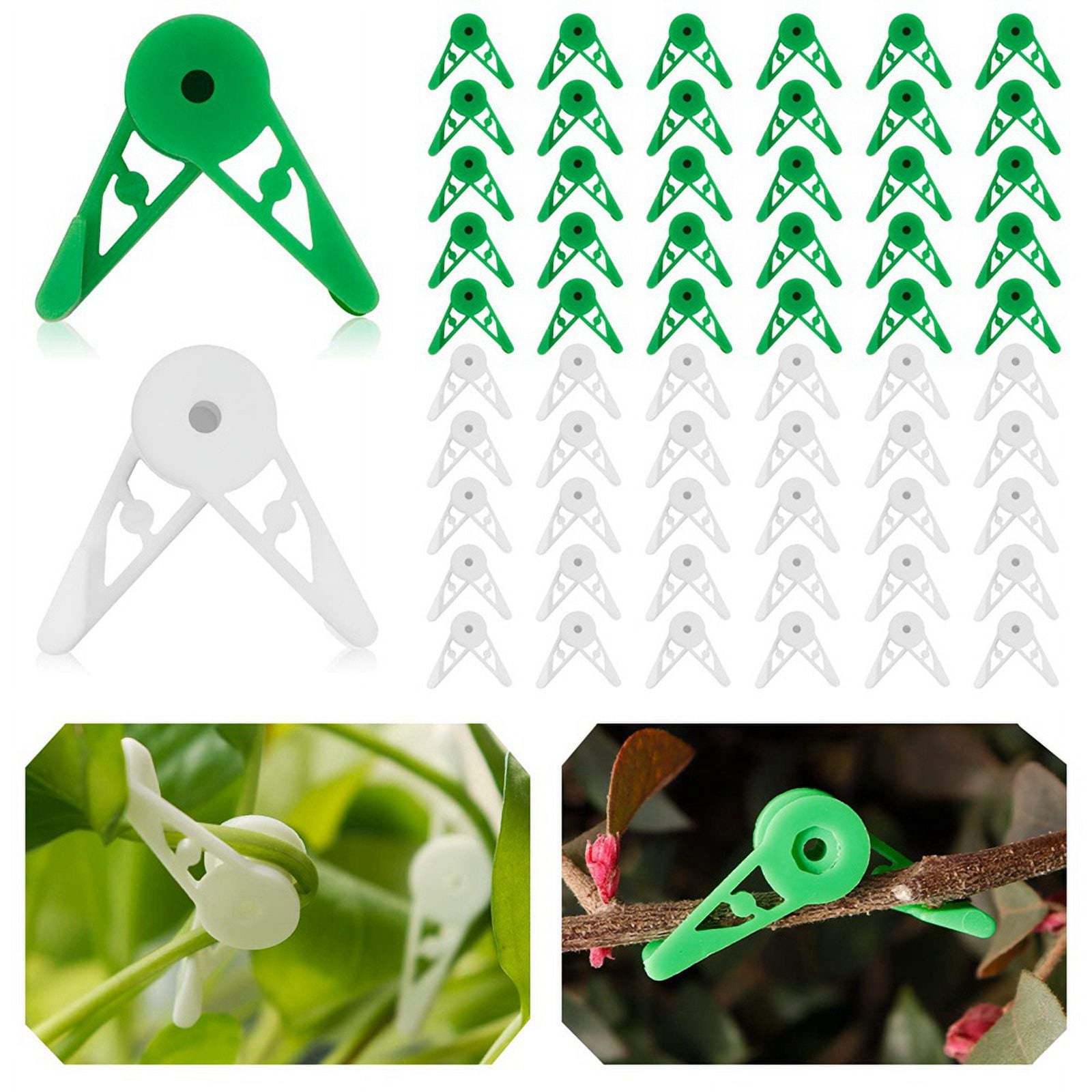 60 Pcs 360 Degree Adjustable Plant Clips Branches Bender Stem Trainer ...