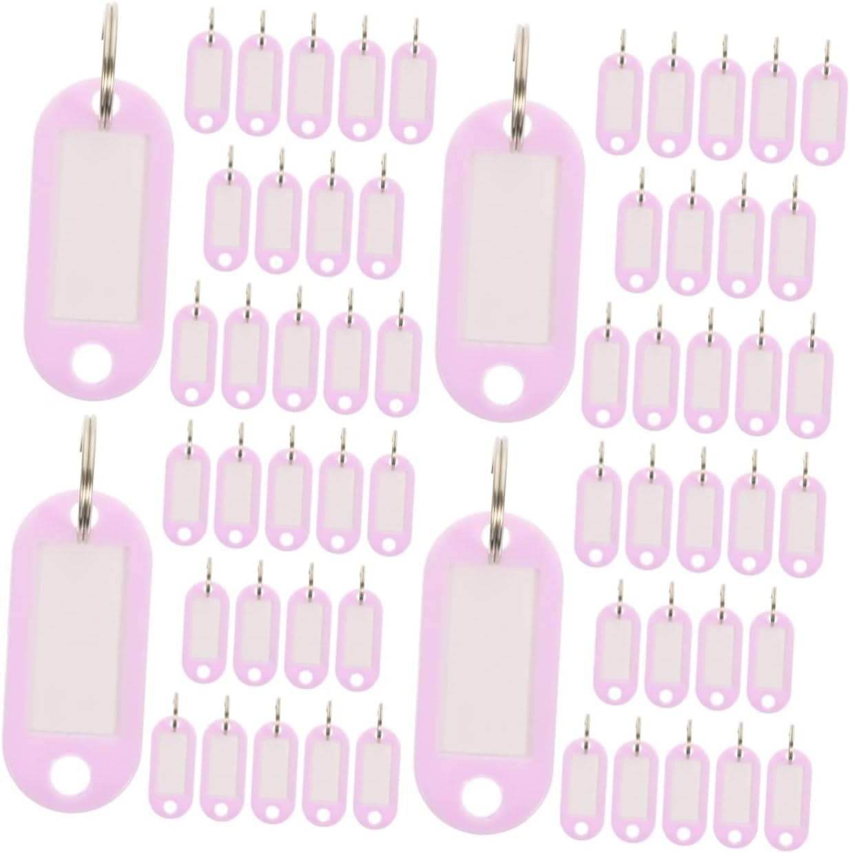 60 Pcs Key Tag Office Carrying Cases Travel Tags The Office Keychain ...