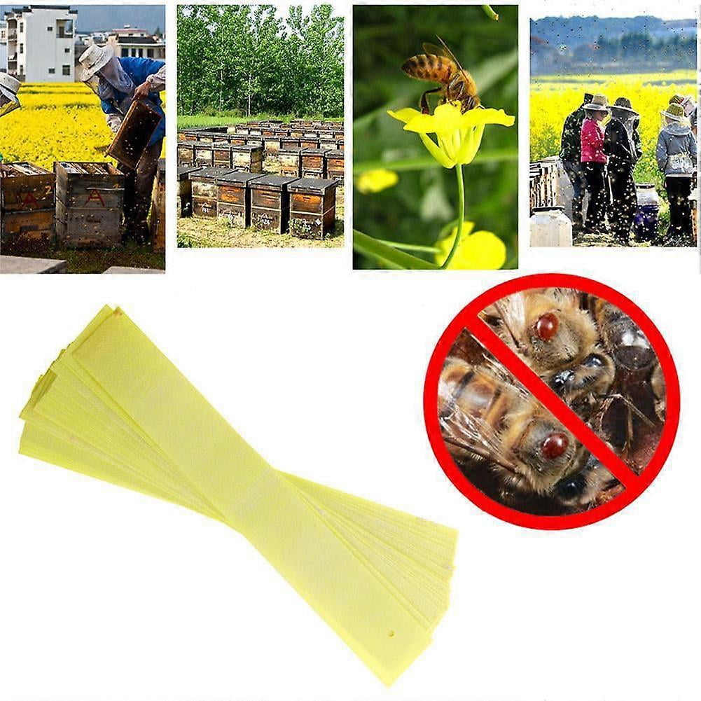 60 Pcs Pro Beekeeping Fluvalinate Bee Mite Varroa Tool Strips Supplies ...