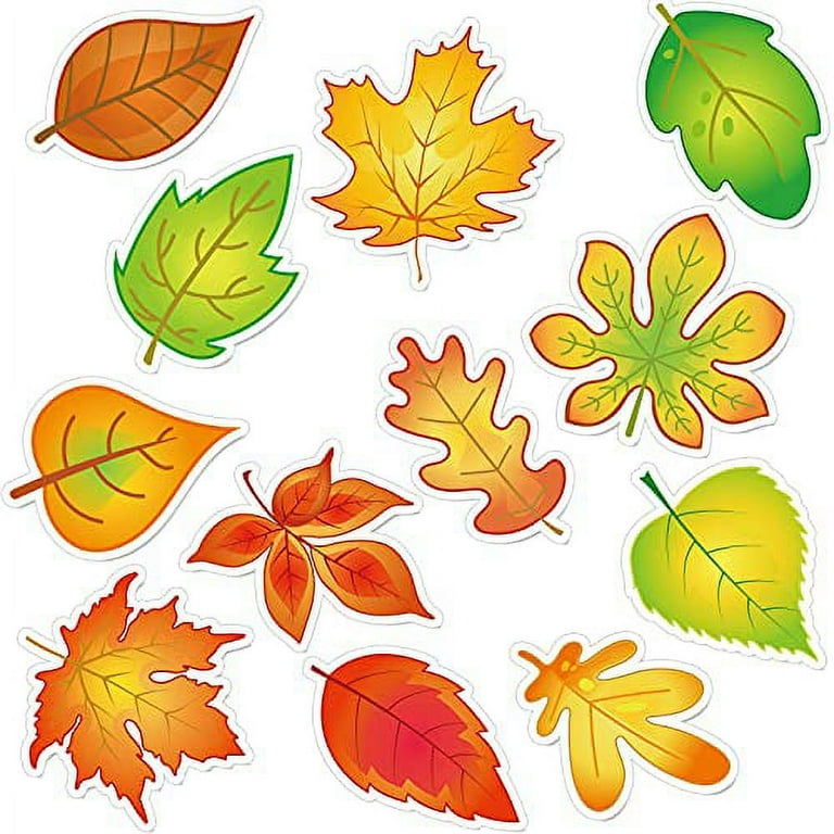 Falling Autumn Leaves Animation