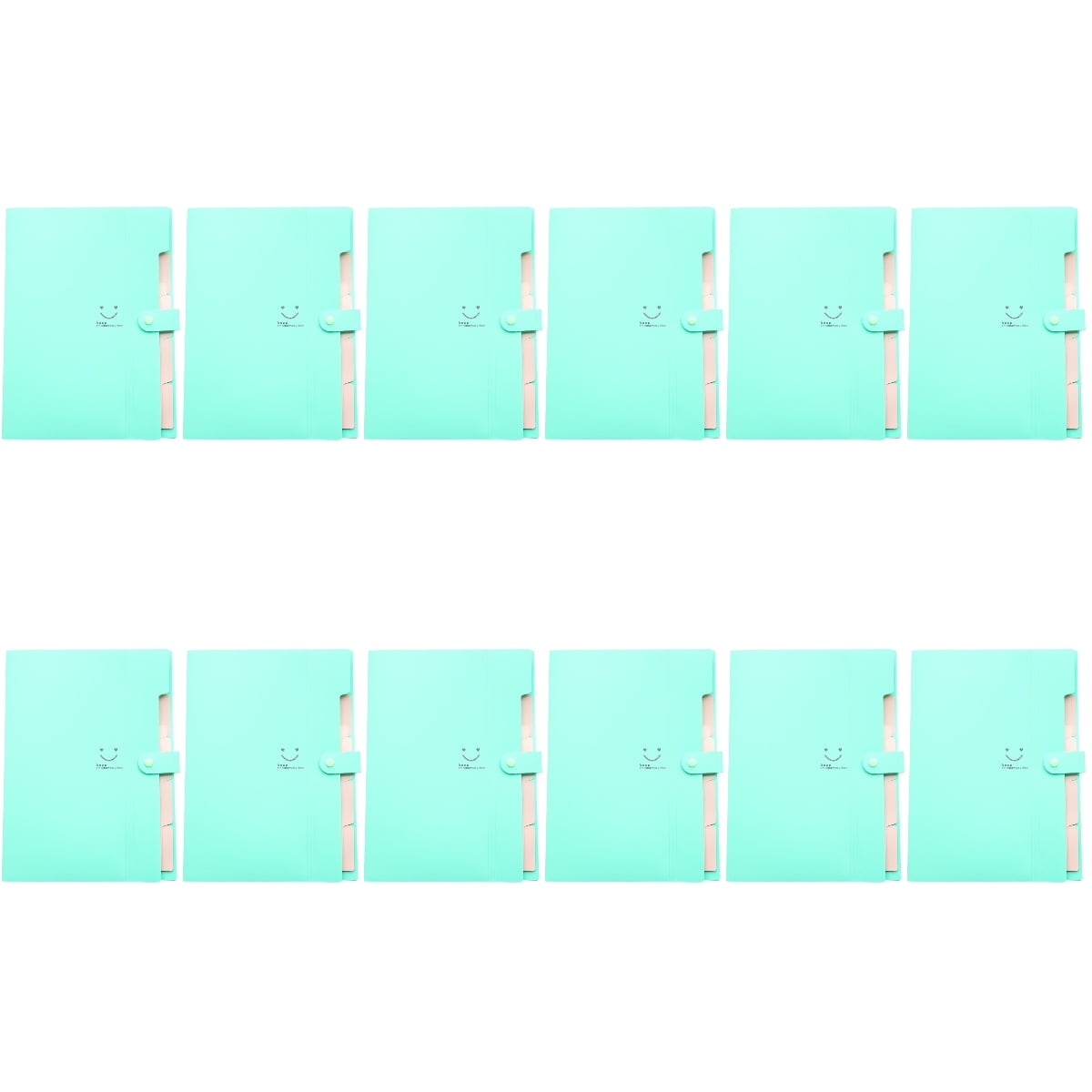 60 Pockets Expanding File Folder Professional School Supplie Plastic ...