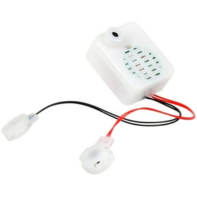 Electronic Voice Box