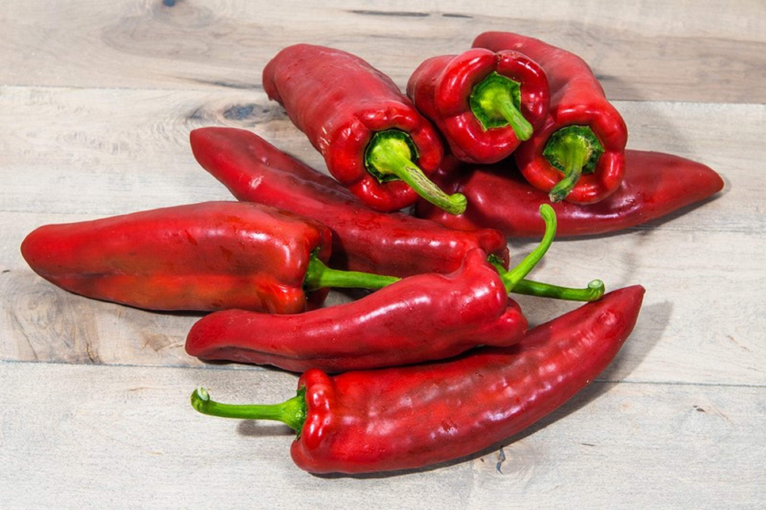 60 Seeds RED MARCONI PEPPER Rossa Large Sweet Italian Frying Capsicum ...