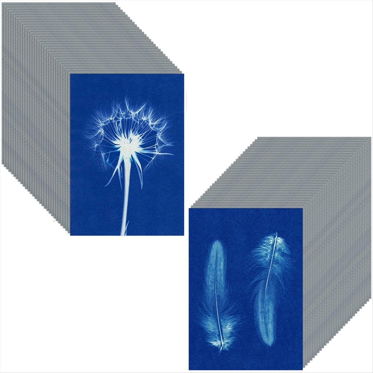 60 Sheets Sun Print Paper Cyanotype Kit, A6 Art with 1 Plastic Tool for ...