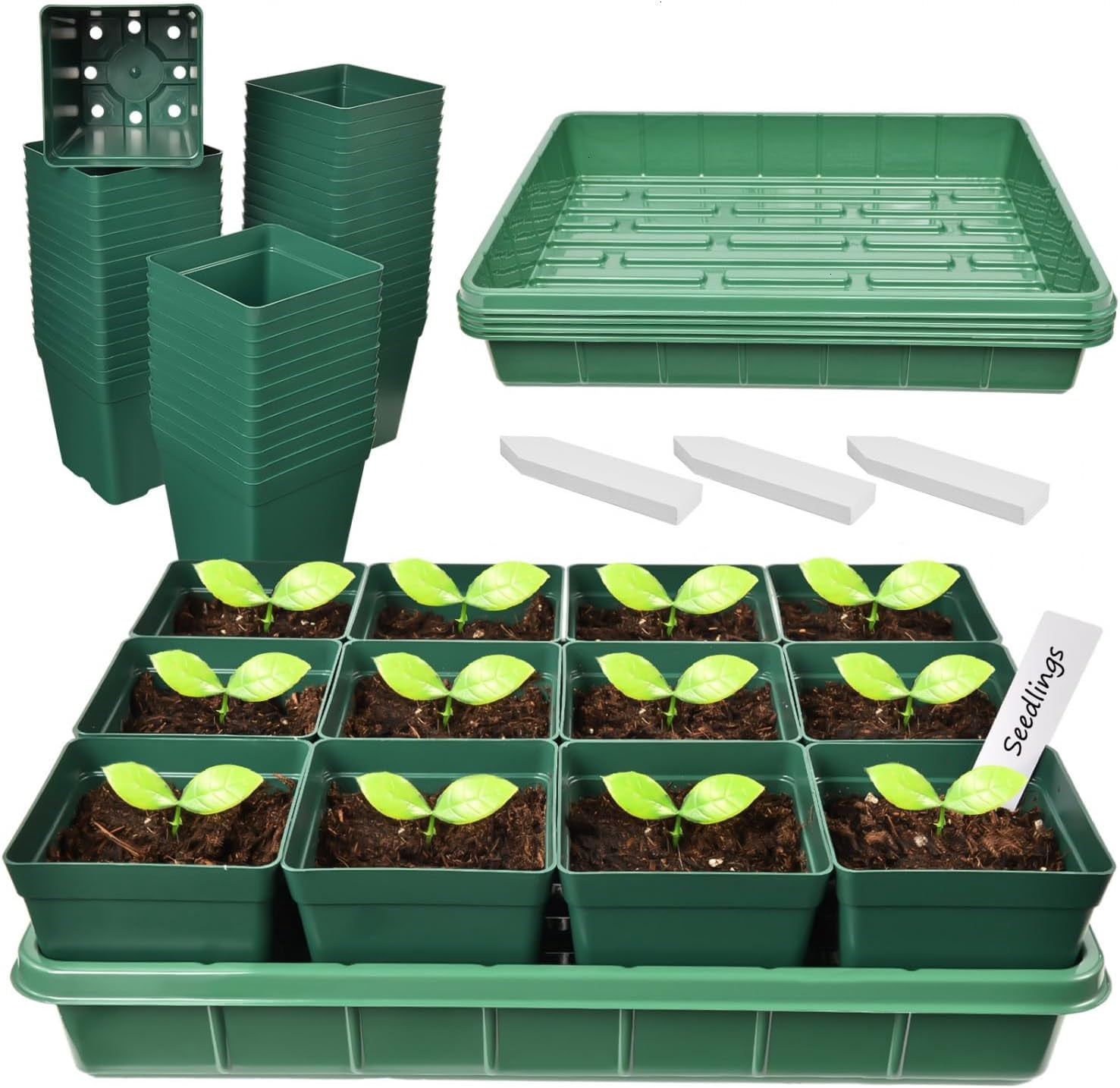 60 Small Nursery Pots for Plants, 5 Seed Starter Tray Kit, 3.3 Inch ...
