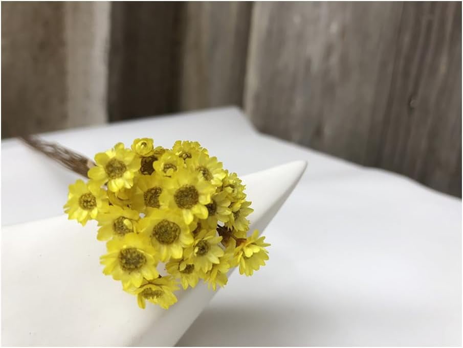 60 Stems Daisy Dried Flowers Bulk, Yellow Dried Daisy Flowers Bouquet ...