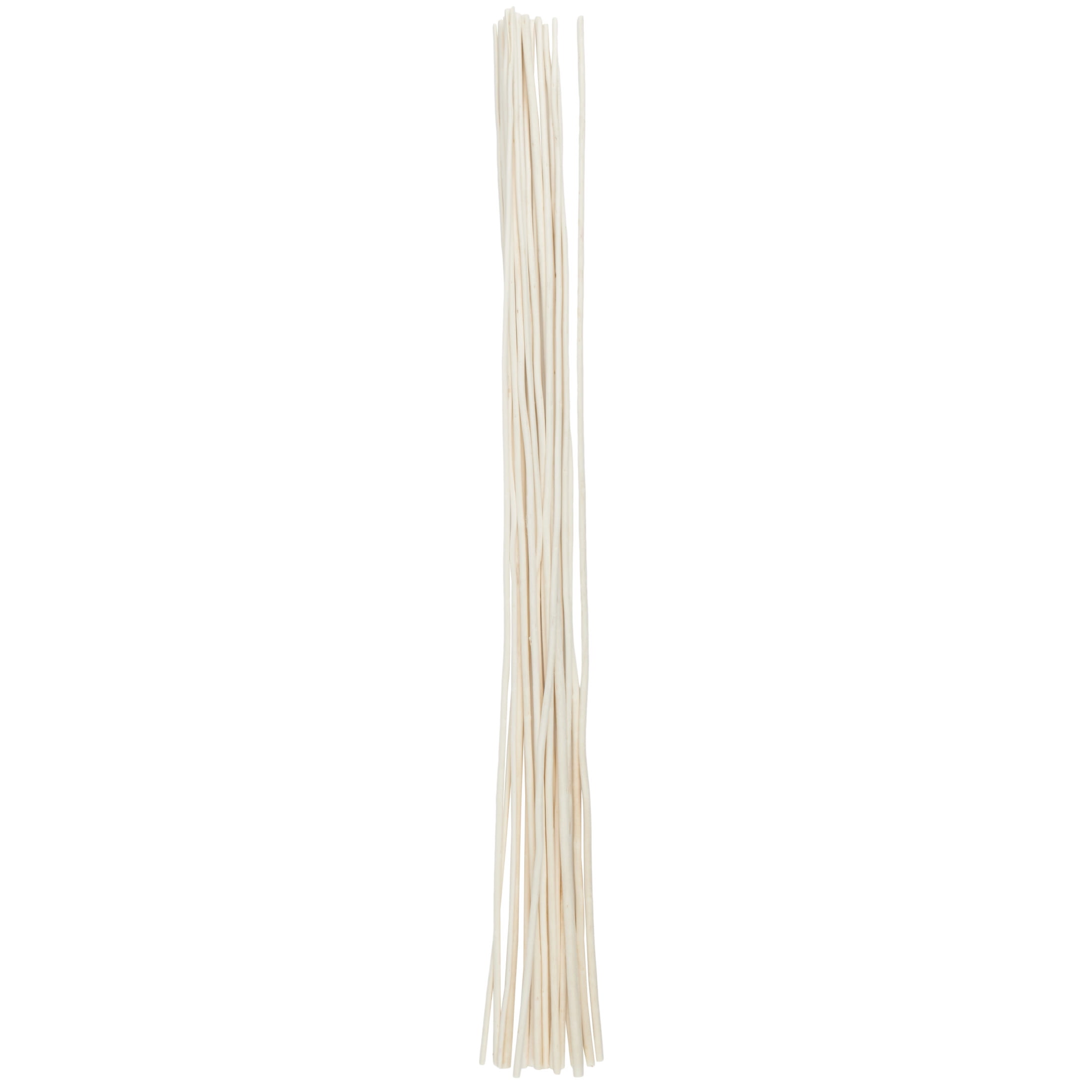 60" Tall Sticks Jute Rope Natural Foliage Bouquet, by DecMode - Walmart.com