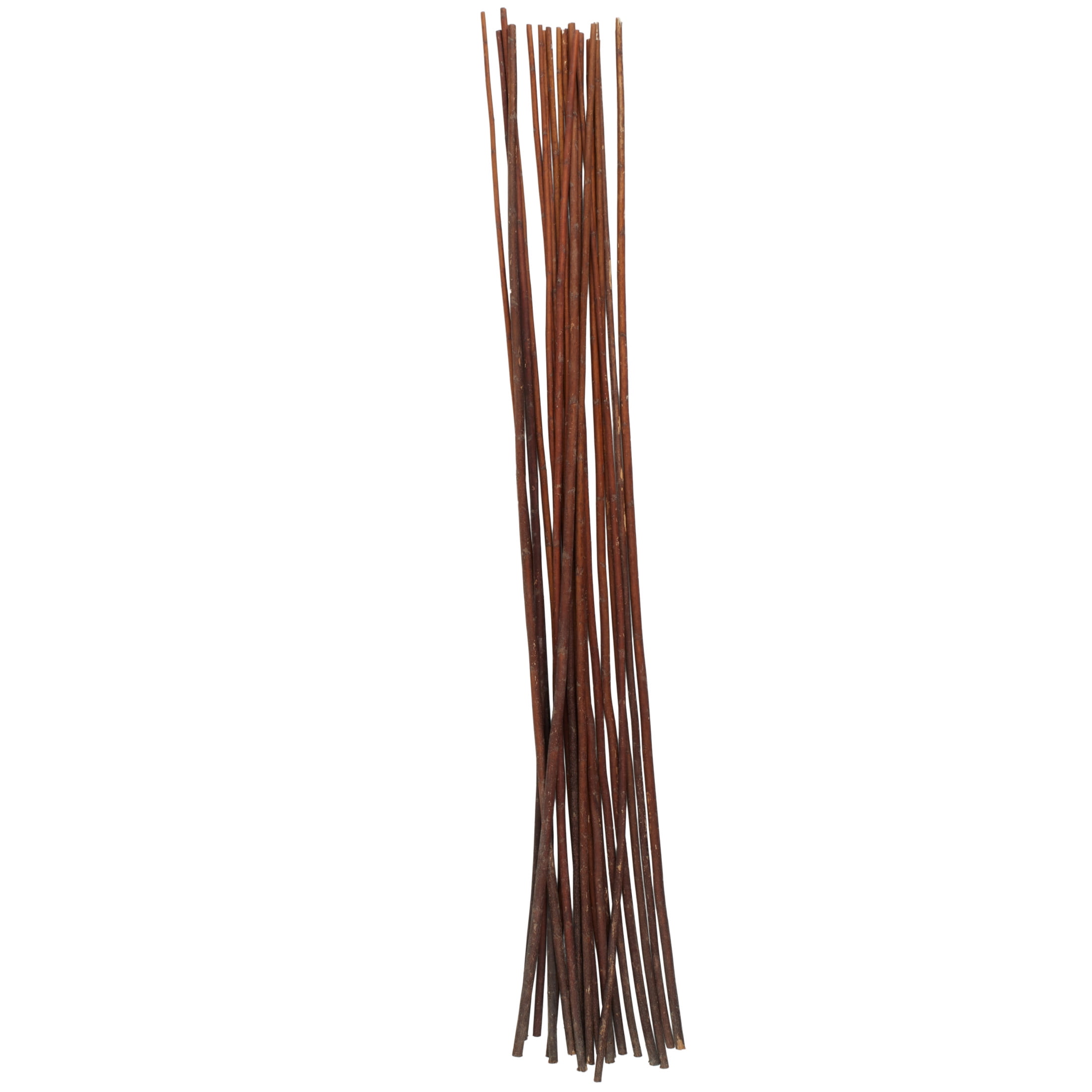 60" Tall Sticks Jute Rope Natural Foliage Bouquet, by DecMode - Walmart.com