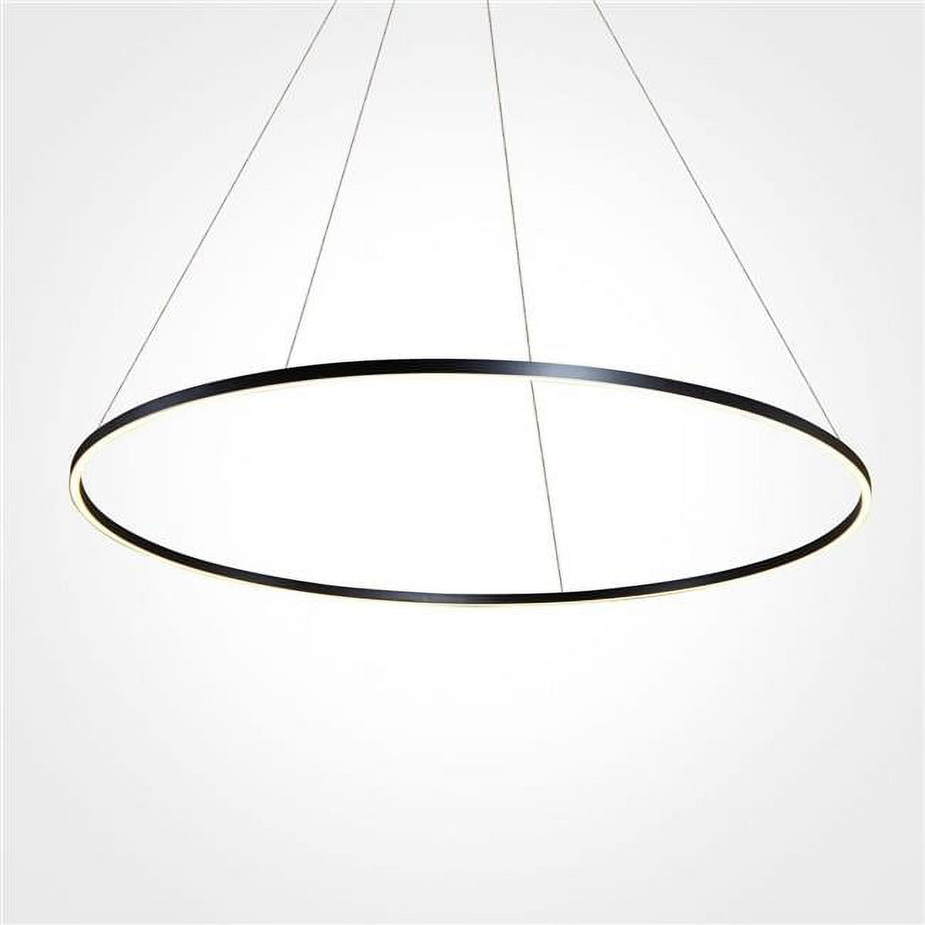60 in. Tania Adjustable Suspension Fixture, Modern Circular LED ...