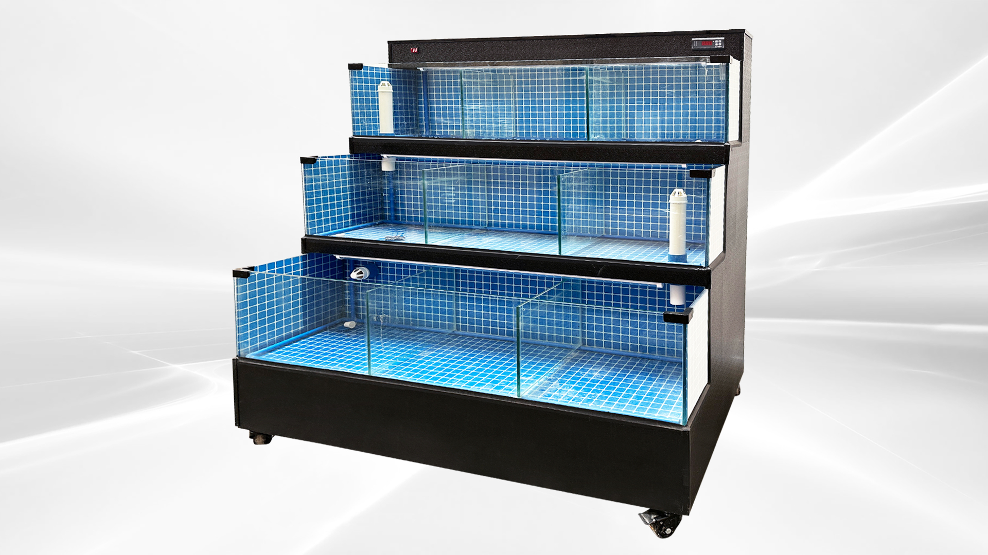 60 In. Sea Water Seafood Lobster Display Case HL60 - Walmart.com