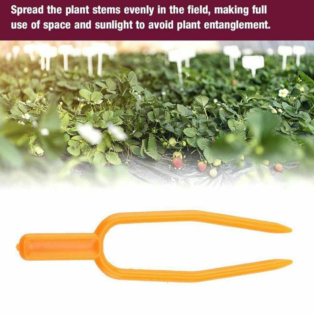 Up to 60% off! GlobalVista 50Pcs Plant STEM Stolon Fixator 50Mm65Mm ...
