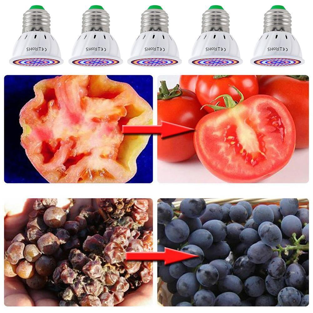 Up to 60% off! GlobalVista Madames LED Grow Light Bulb 48 Beads 60 Beads 80 Beads Succulent ...