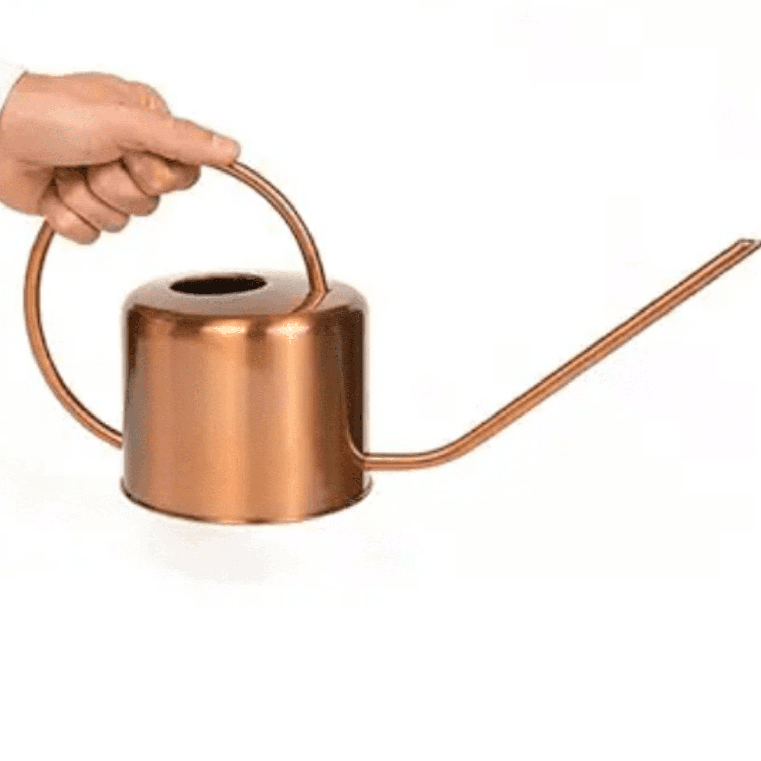 60 oz Water Can Metal - Stainless Steel Watering Can with Long Spout ...