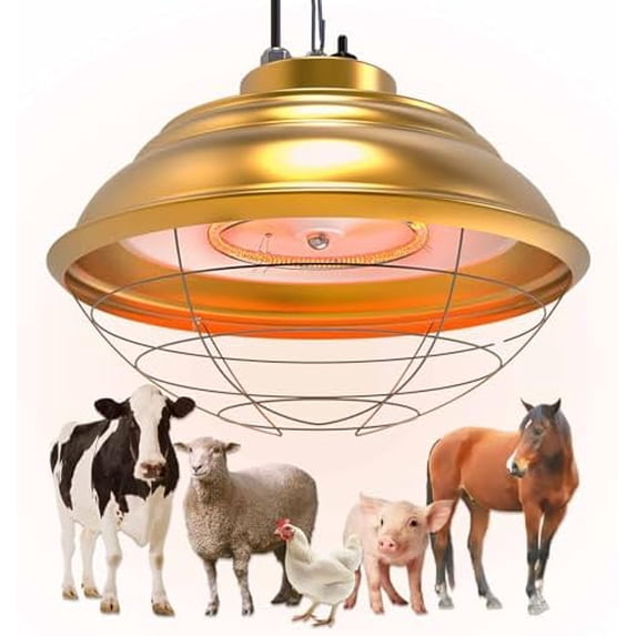 600 Watt Large Range Chicken Coop Heater - Professional Heat Lamp for ...