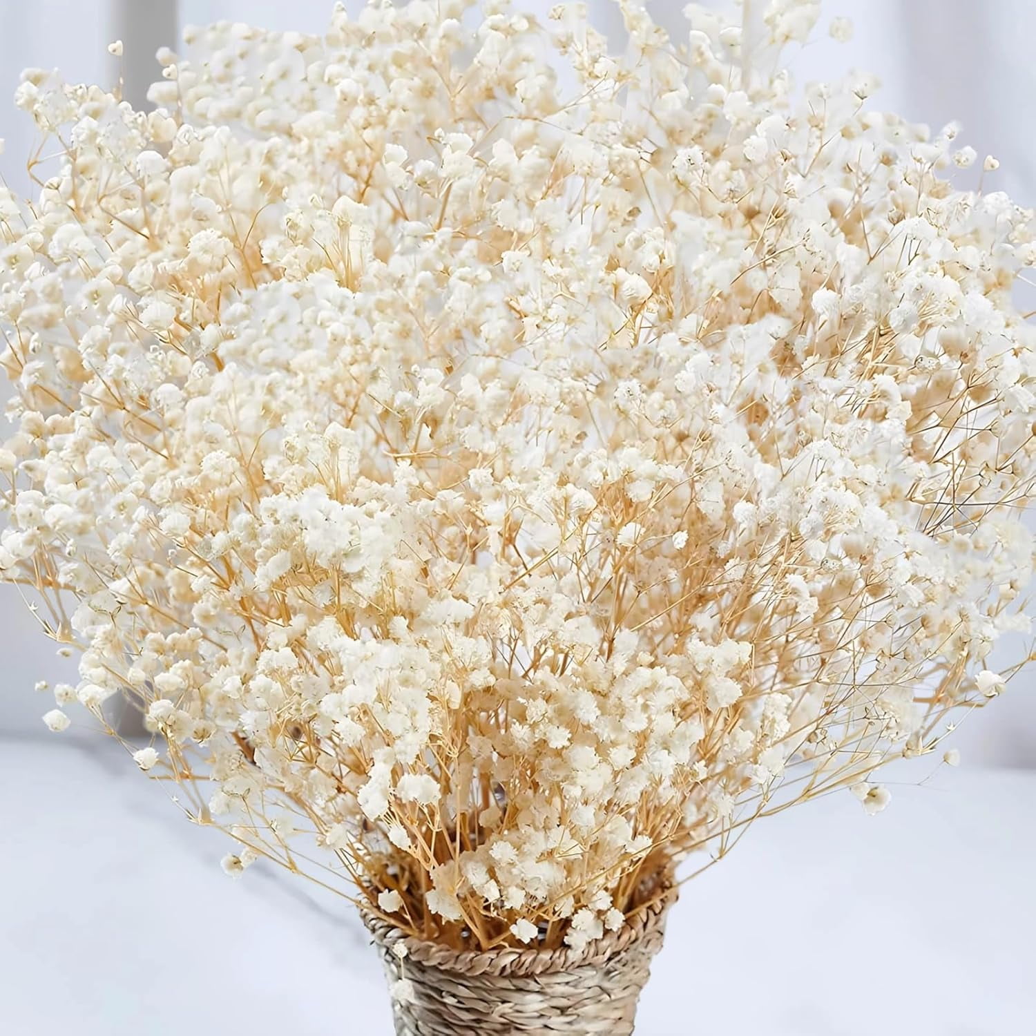 6000+ Dried Babys Breath Flowers Bulk - 17" Ivory White Dried Flower ...