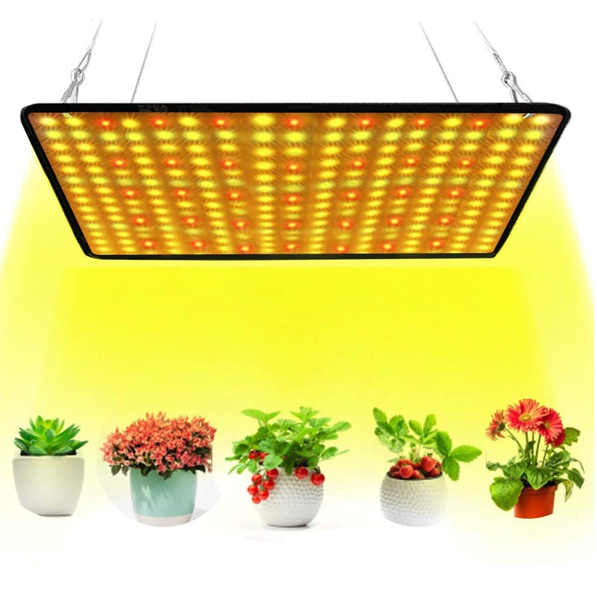 6000W/4000W LED Grow Lights for Indoor & Outdoor Plants, Plant Growth ...