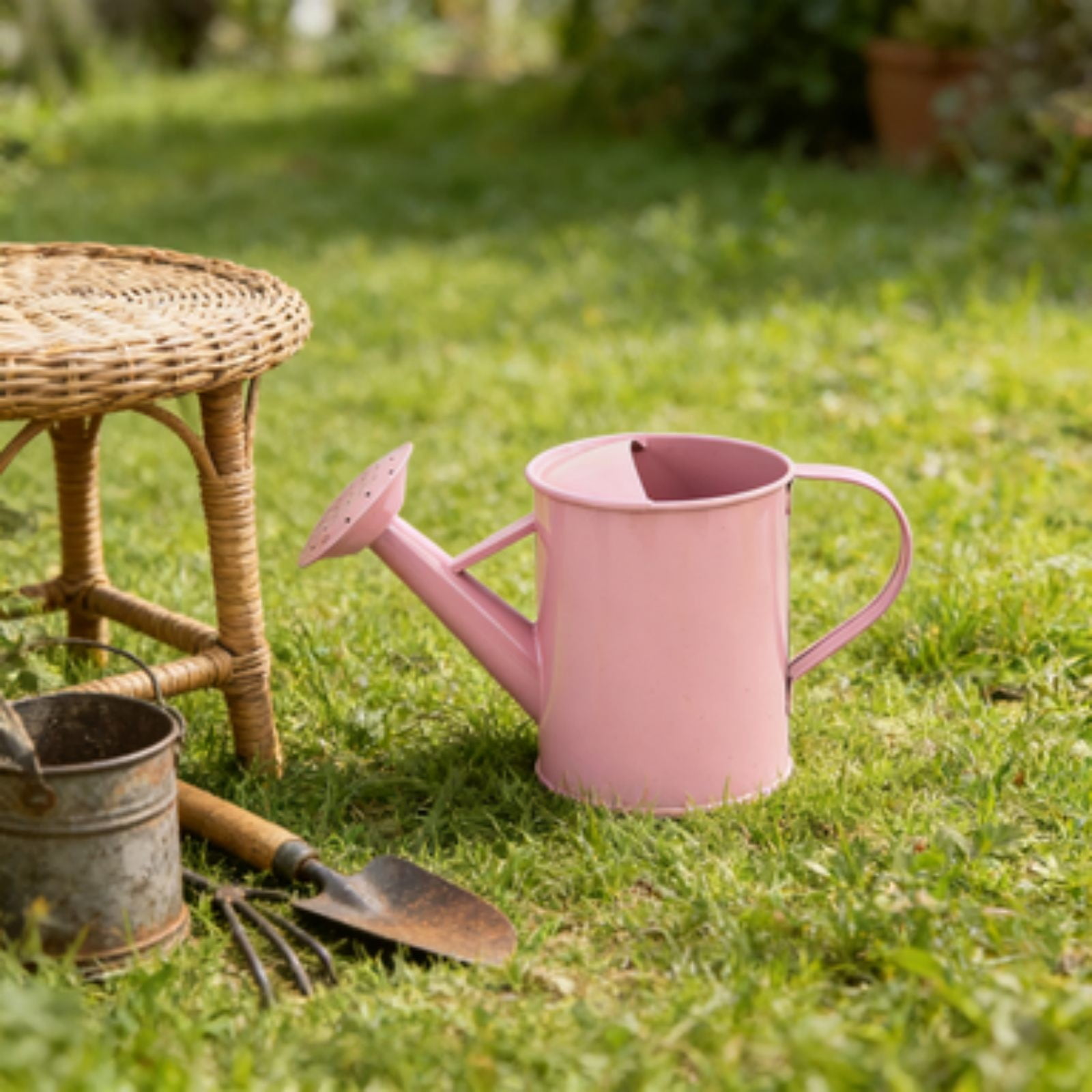 600ml Modern Watering Can for Indoor Plants, Decorative Watering Pot ...