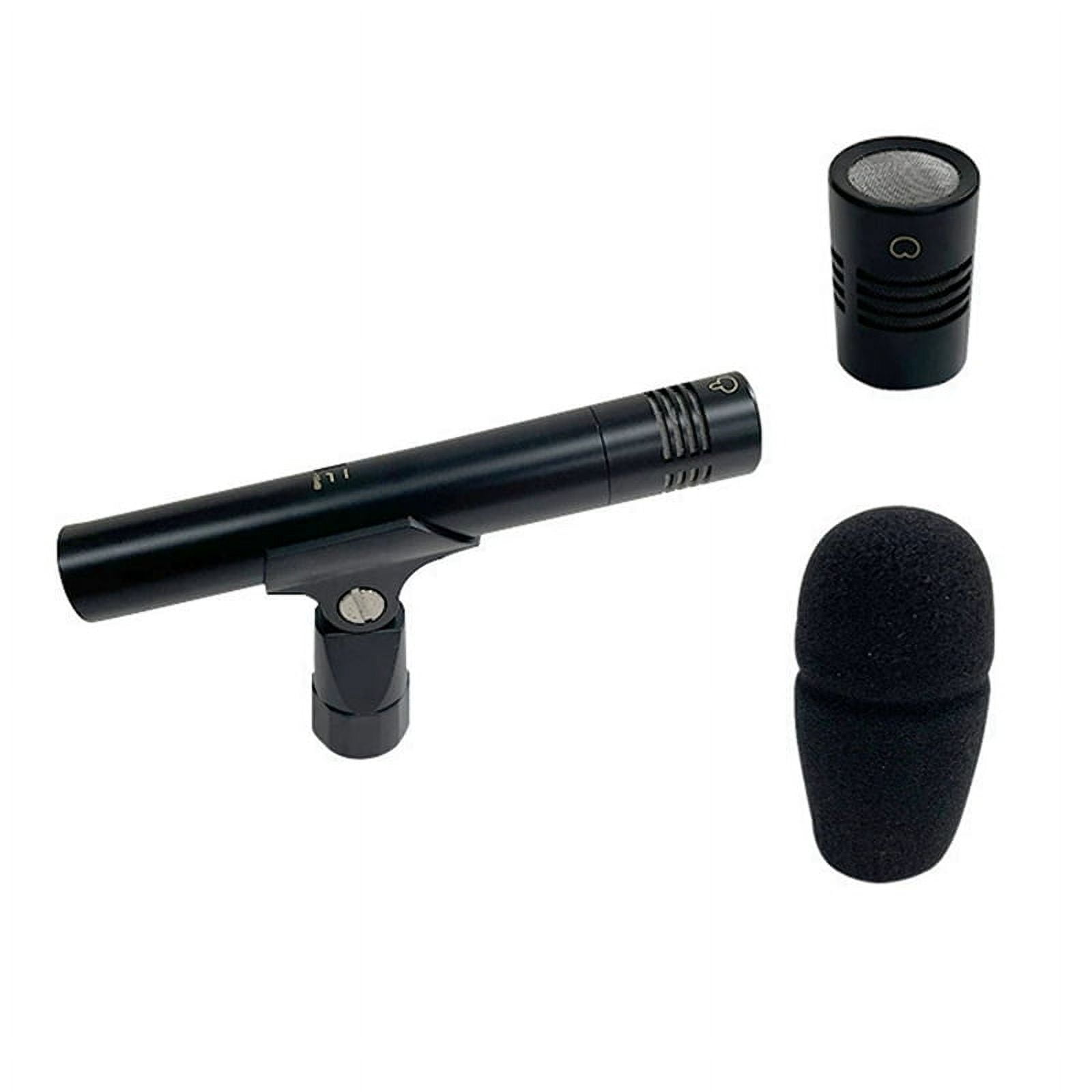 -60C Professional Diaphragm Condenser Microphone Supercardioid Mic with ...