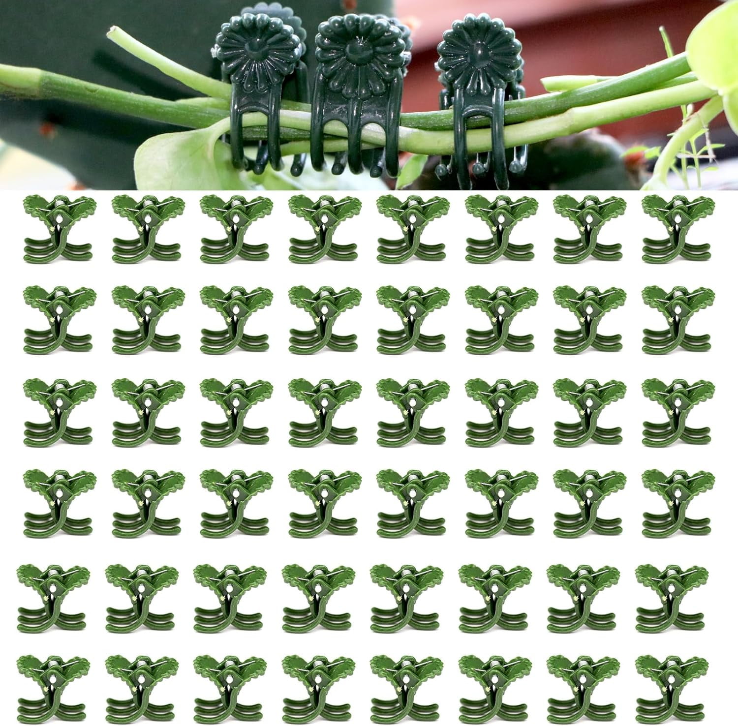 60PCS Green Plant Clips Orchid Flowers Support Clamp Climbing Vine Stem ...