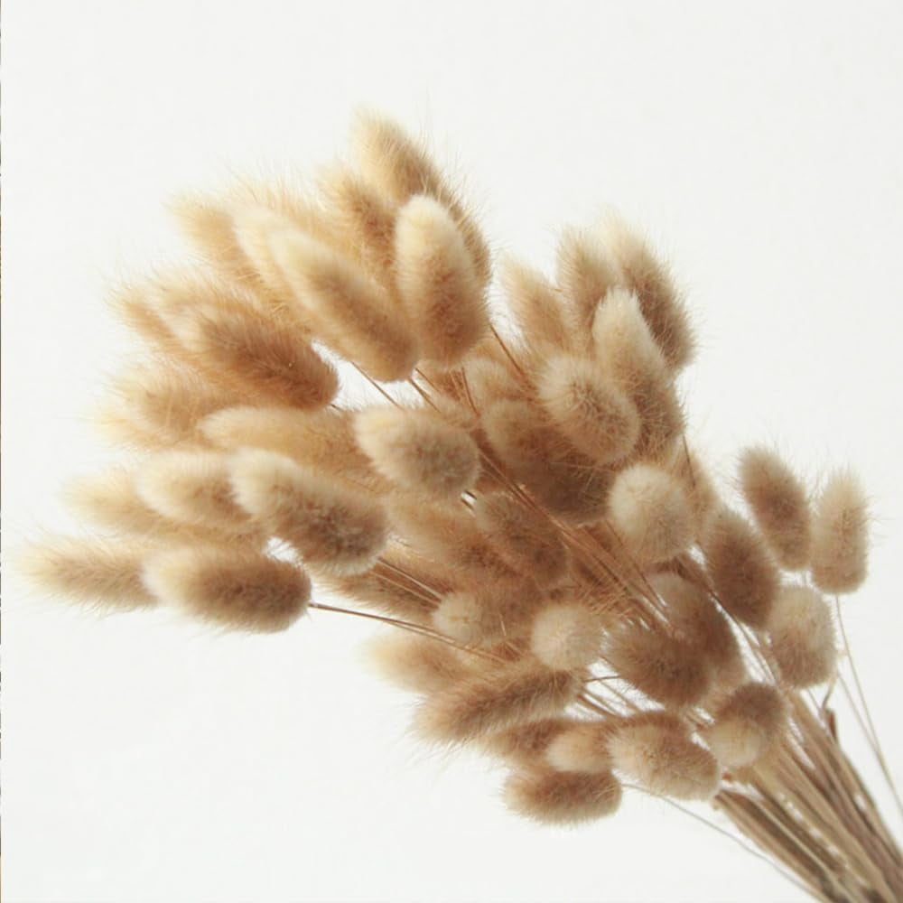 60PCS Rabbit Tail Grass Dried Flowers Dried Natural Floral Arrangement ...