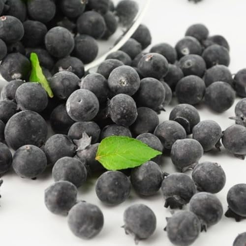 60Pcs Artificial Blueberry Foam Fake Berries Fake Fruit Decor,Realistic ...