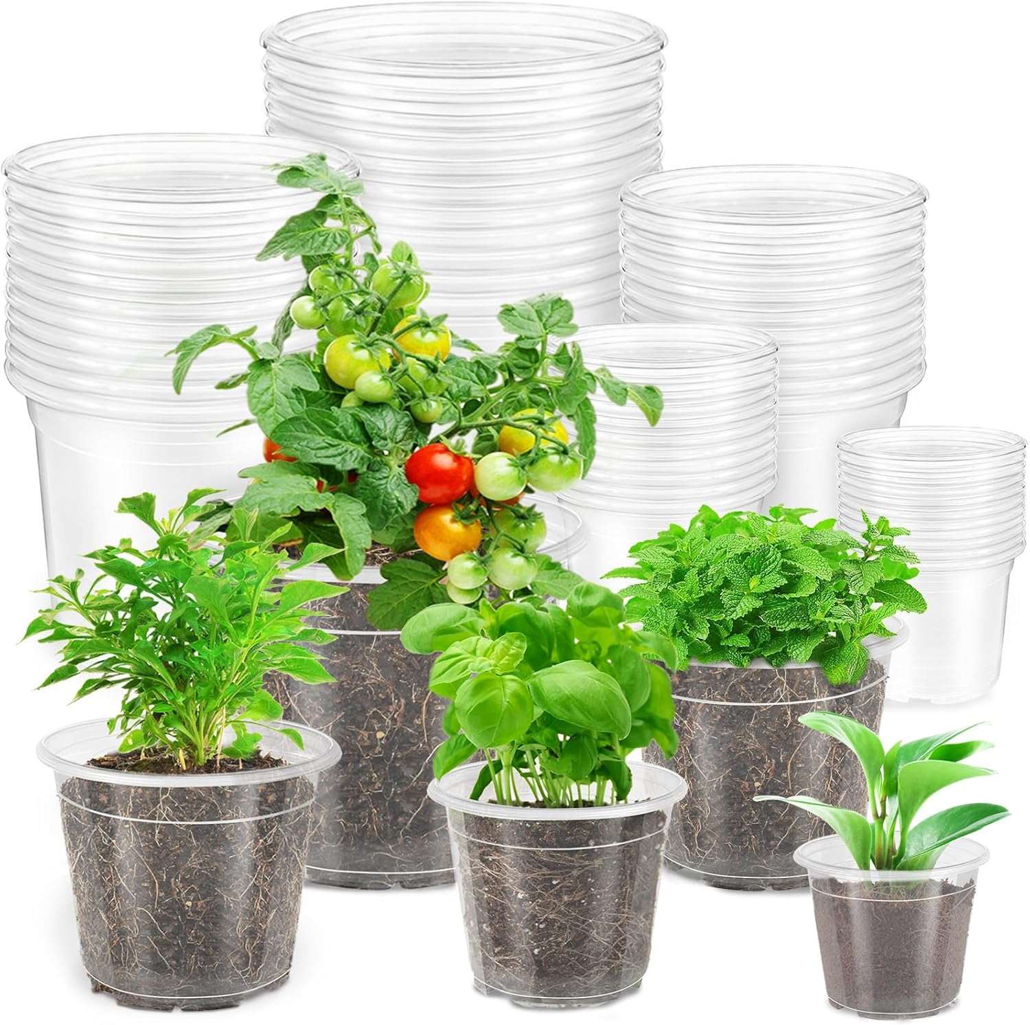 60Pcs Clear Plastic Nursery Pots with Drainage Holes, 3-6.7 Inch Seed ...