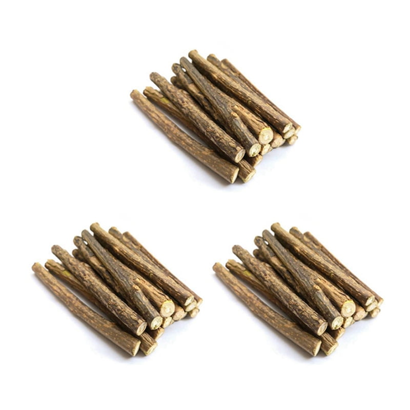 60Pcs Natural Silvervine Sticks for Matatabi Chew Sticks Teeth Molar ...