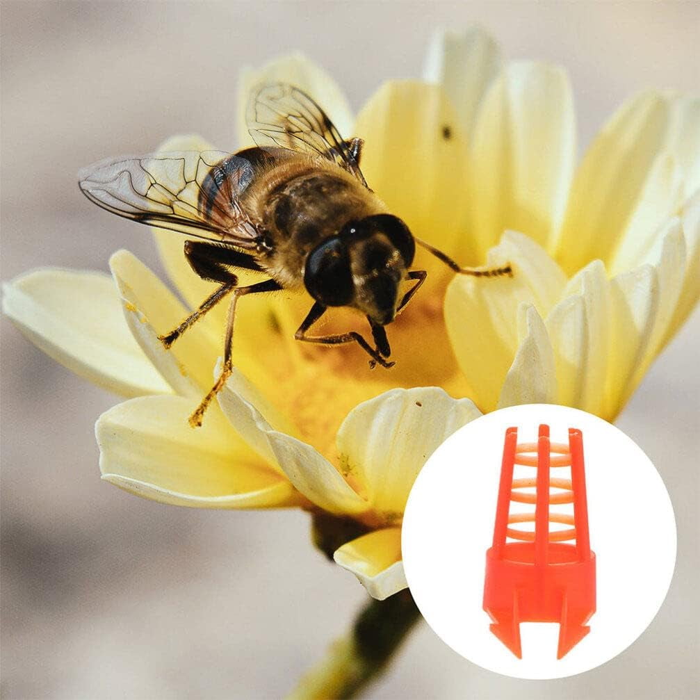 60pcs Bee Queen Cap Honey Bee Comb Push-in Queen Cell Protectors ...
