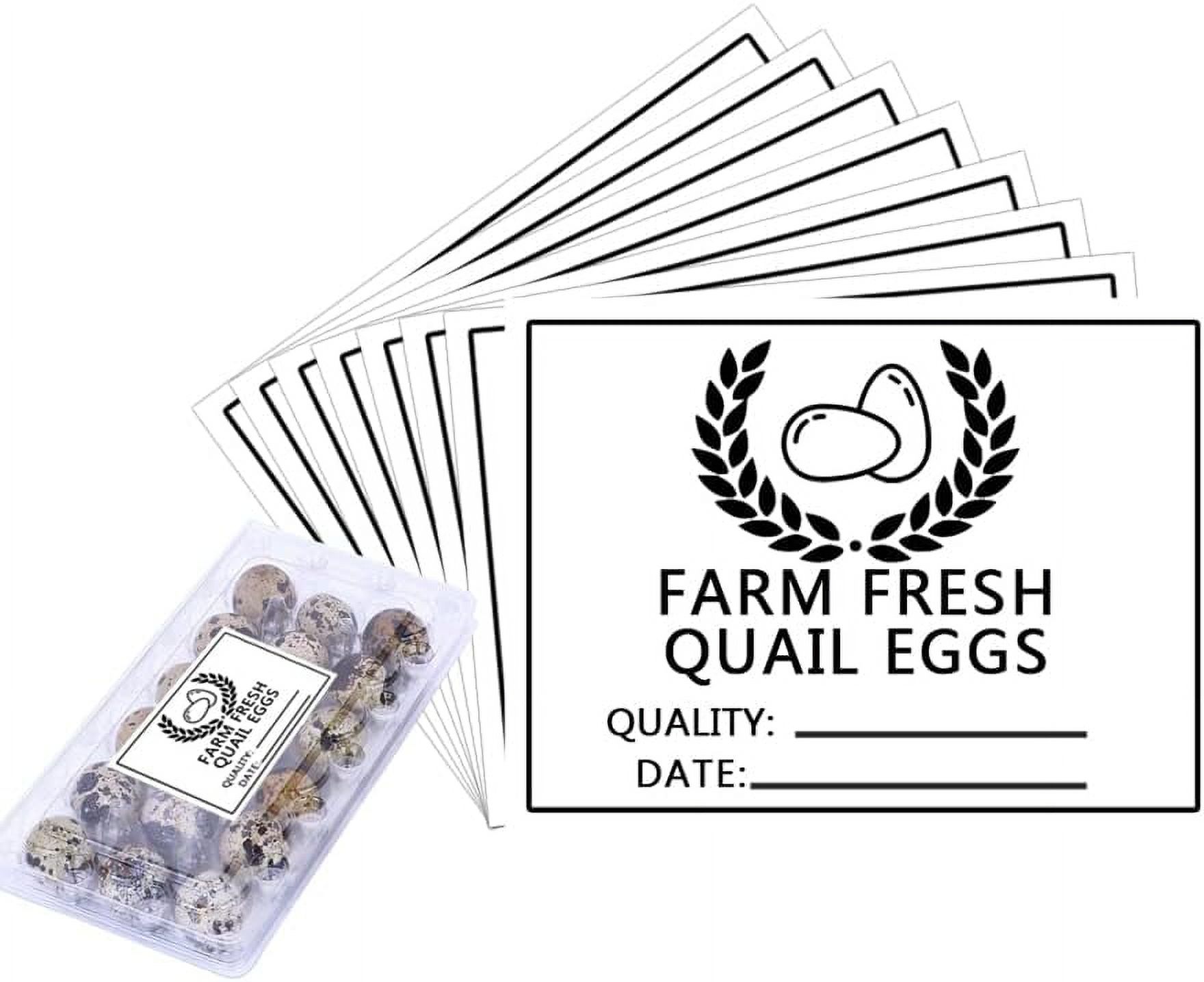 60pcs Farm Fresh Quail Egg Cartons Labels 3.5x2.5inch Hand Gathered ...