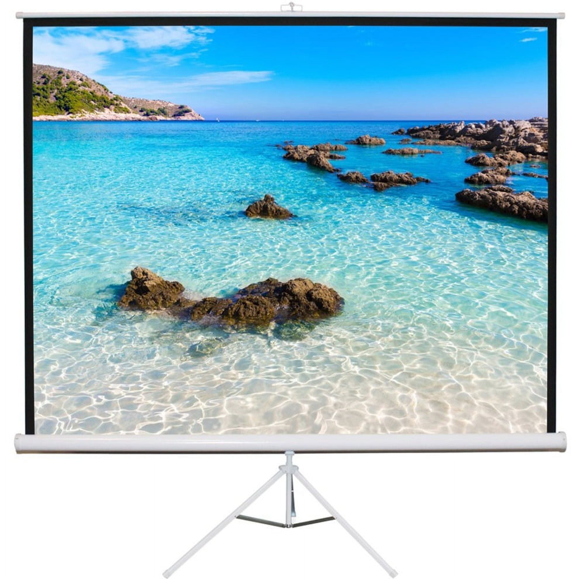 60x60 TPS-T60 - Matte White Fabric - Square Format Projector Screen ...